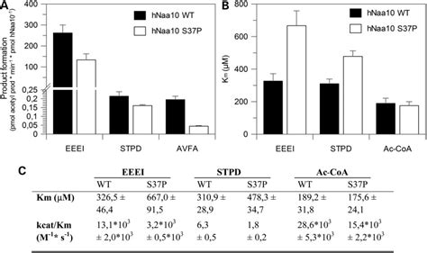 Biochemical And Cellular Analysis Of Ogden Syndrome Reveals Downstream Nt Acetylation Defects Pmc