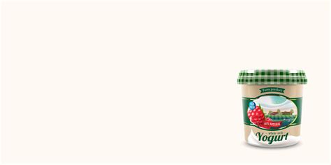 라즈베리 요구르트 광고 브랜드 항아리와 병 밝은 배경에 우유 스플래시 상업 제품 모형 벡터 현실적인 그림 0명에 대한 스톡 벡터