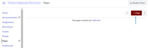 Customize Your Canvas Site With Canvas Pages Courses At UChicago