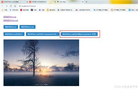 Vue3实战学习（vue3集成vue Router路由跳转、编程式路由跳转。路由跳转的单参数、多参数传递。设置默认页面路由）上7vue3编程式路由跳转 Csdn博客