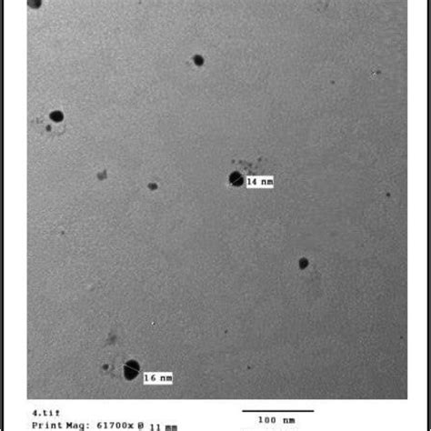 Tem Analysis For The Shape And Size Of Teehl Based Snpsabbreviations