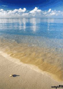 Beaches S Tenor