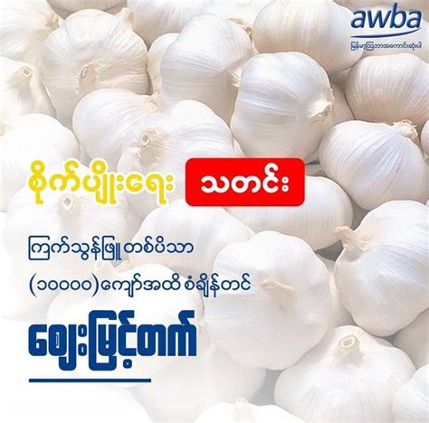 နွေစပါးအများစုပေါ်ချိန် ဆန်စပါးစျေးနှုန်း ထပ်မံမြင့်တက်ပြီး စျေးကောင်းလ