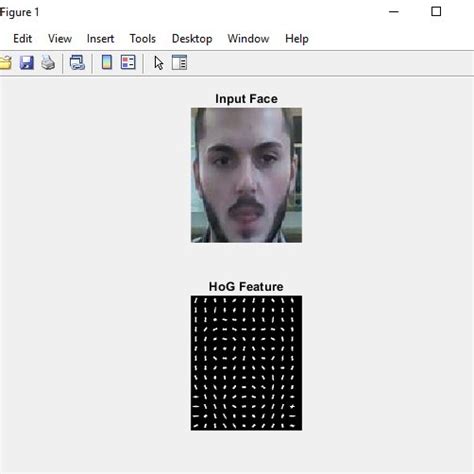 The Extracted Face Using Viola Jones Algorithm And The Hog Features 14