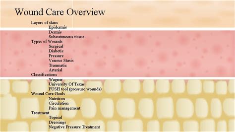 Wound Care Basics Wound Care Overview Layers Of
