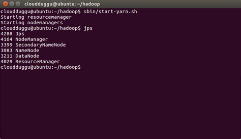 Apache Hadoop Installation On Single Node Tutorial Cloudduggu