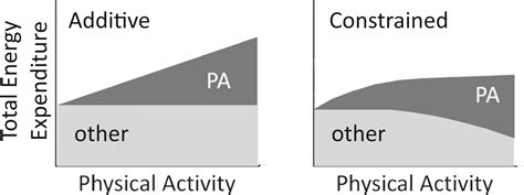 Weighty Matters Constrained Energy Expenditures And Not Outrunning