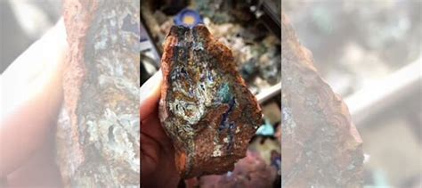 Заринит купить в Севастополе с доставкой | Хобби и отдых | Авито