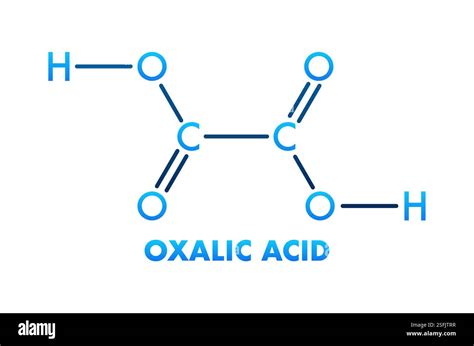 Oxalic Acid Molecular Structure With Chemical Formula C2h2o4 Stock