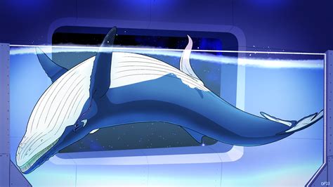 Rule 34 169 2023 Animal Genitalia Animal Penis Baleen Whale Blue