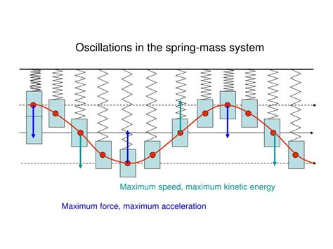 Ppt Oscillations In The Spring Mass System Powerpoint Presentation Free Download Id735859