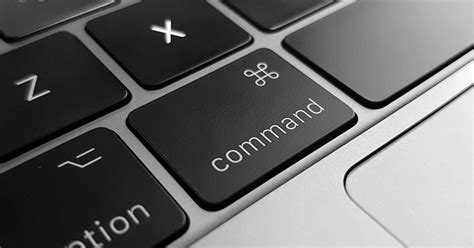 Install And Run Drupal From A Single Command