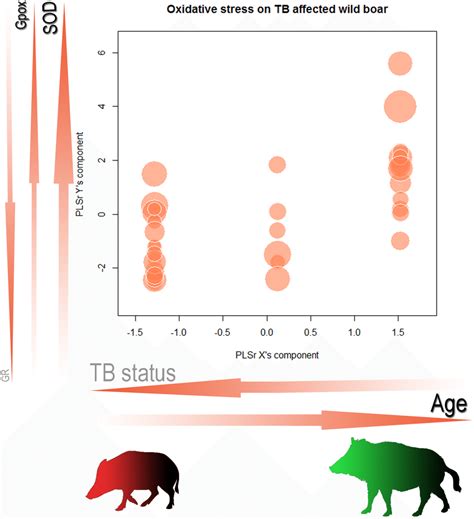 Bubble Plot Representing The Relationships Between A Plsr X Component Download Scientific