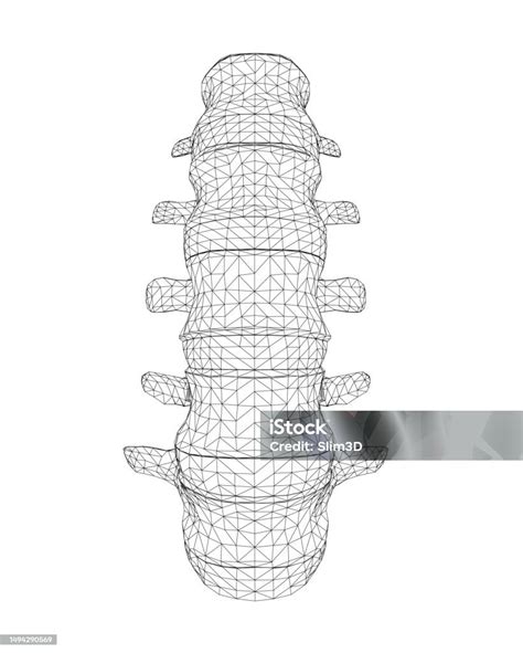 벡터 그림 척추 진단 기호 디자인 기호 벡터 아이콘입니다 라인 디자인 척추 뼈와 구조 의학 및 해부학 인간의 해부학적 와이어프레임 구조 개념 그림입니다 개념에 대한 스톡