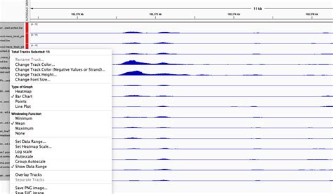 Igv 로 Bam File 지놈 Read Mapping 시각화하기 논문용 Figure 만들기