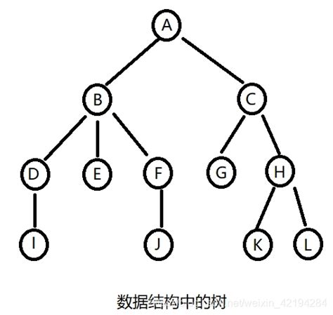 Java数据结构与算法之树双亲节点和父节点有什么区别 Csdn博客