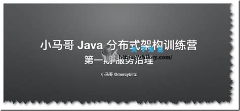 小马哥 Java 分布式架构训练营 第一期 服务治理 天下无鱼 资源博客