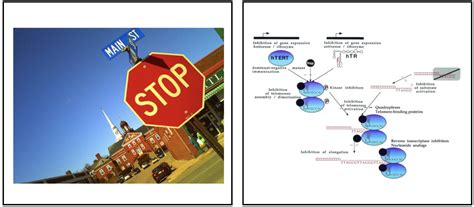 Computer Vision Image Text Extractor Capital One