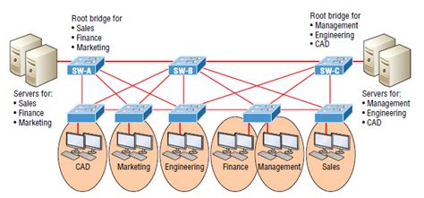 VLAN Spanning Tree PVST VLAN Spanning Tree Plus PVST Protocol