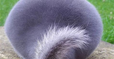 What A Fuzzy Circle Album On Imgur