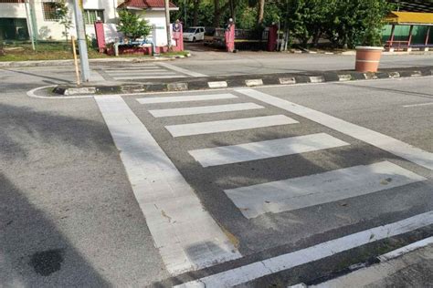 Zebra Crossing Object Detection Dataset By Zebra Crossing