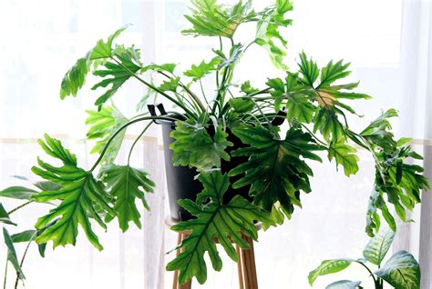 ბელგიური ავეჯის სახლი Added A New ბელგიური ავეჯის სახლი