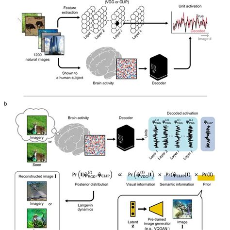 Proposed Reconstruction Framework A Decoder Training In Our