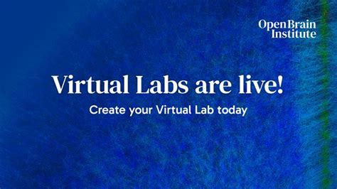 Brain Neuroscience Computionalneuroscience Computerscience