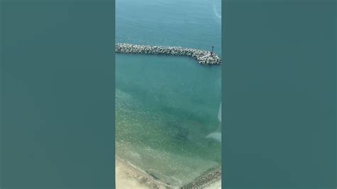 해운대 윤슬🌊 Youtube