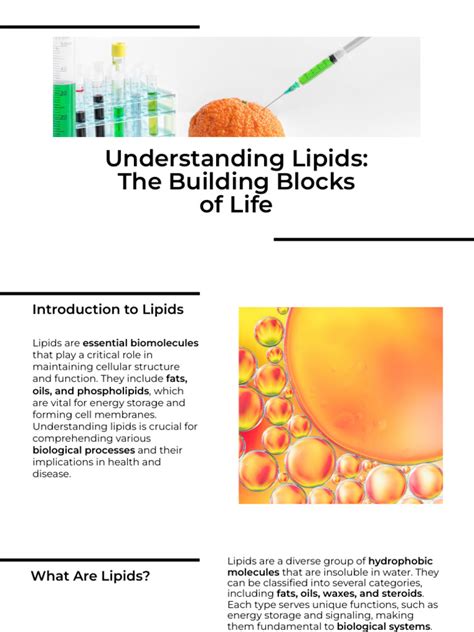 Lipids The Building Blocks Of Life Pdf Lipid Cell Membrane