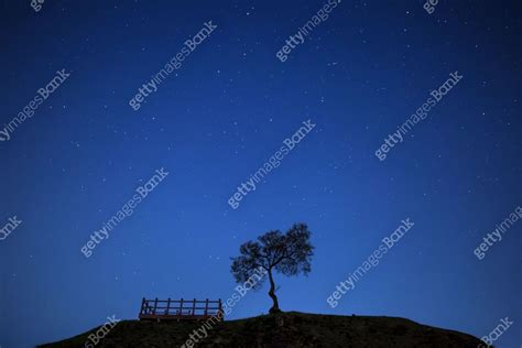 로우앵글야경별밤하늘은하수4나무난간전망대당포성연천군경기도 이미지 A12391612 게티이미지뱅크