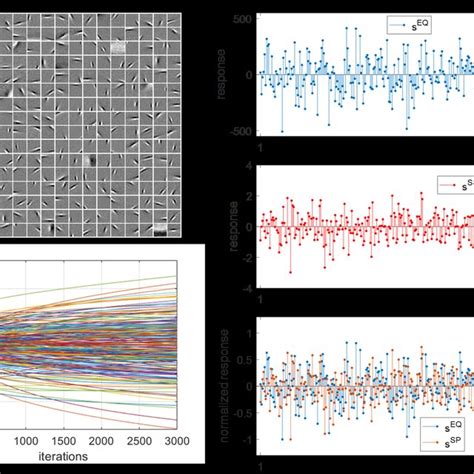 Model Response Does Not Converge To The Analytical Equilibrium There Download Scientific