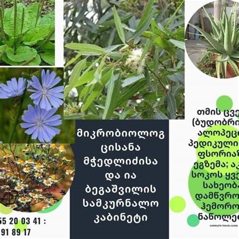 𝗔𝗹 𝗦𝗠𝗦