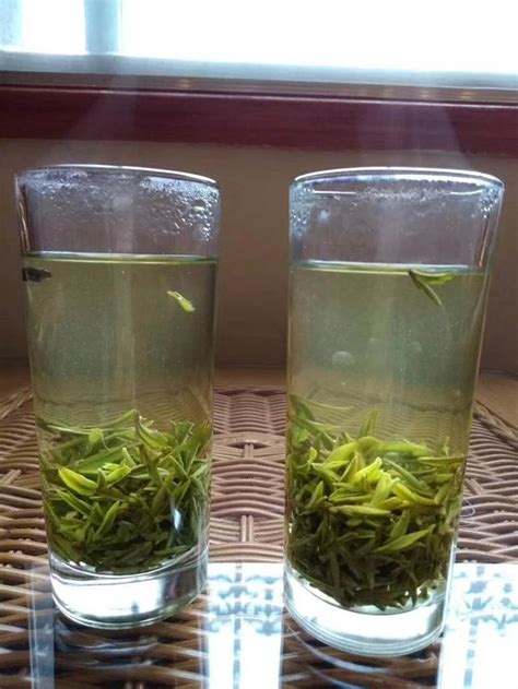 話說 秋茶 每日頭條