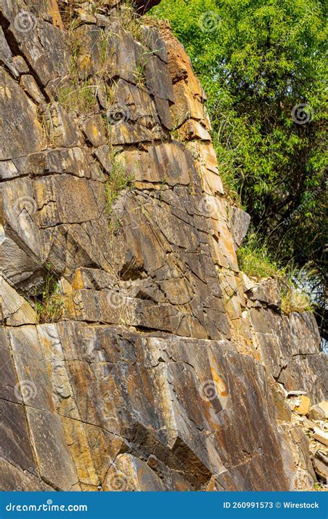Vertical Of A Shale Limestone Rock Face With Grasses Growing On It