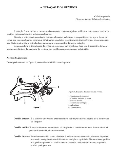 Cuidados Com Ouvidos Na Natação Pdf Orelha Audição