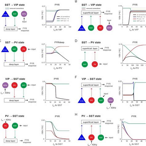 Lateral Inhibition Switches Dynamics From Vasoactive Intestinal