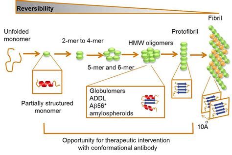 Schematic Representation Of The Multistep Aggregation Process Initiated