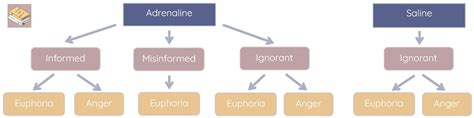 Two Factor Theory Of Emotion