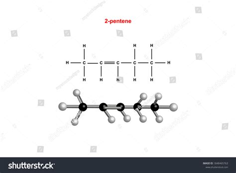 2 Pentene Chemical Molecular Structure Vector Design Stock Vector