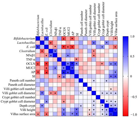 Heatmap Of Spearman Correlation Analysis Nf κβ1 Nuclear Factor Kappa
