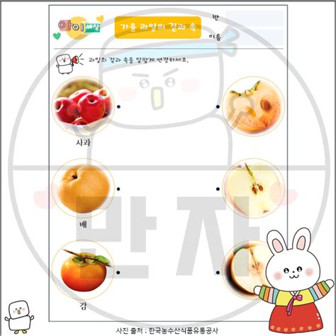 활동지 가을 과일 겉과 속 선긋기 만자디자인