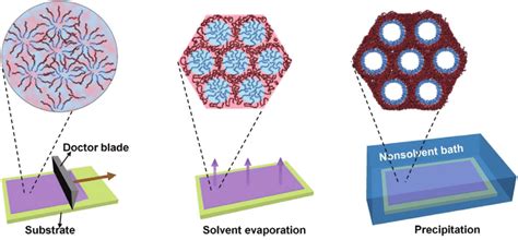 Self Assembly Of A Diblock Copolymer During Membrane Casting Via Snips