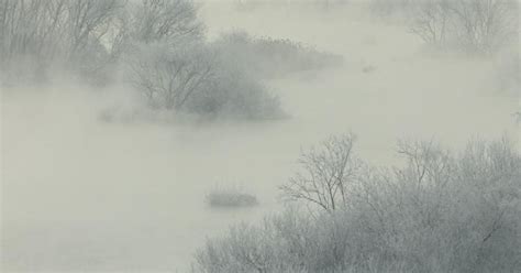 때 이른 한파순백의 나무서리 장관