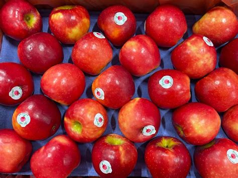 Its Cherish™ Time Grown By The Cherish Apple Fruit