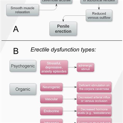 A Flow Diagram Representing The Events That Will Occur After Smooth Download Scientific