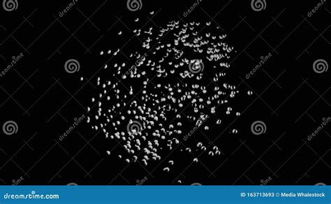Many White Particles Moving Chaotically With Different Speed On Black Background Seamless Loop