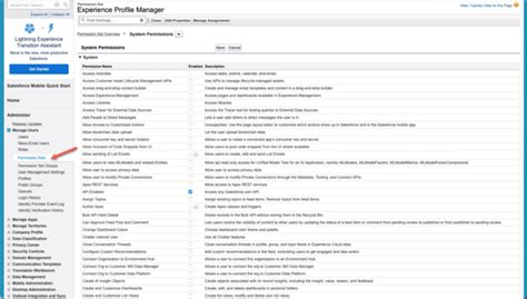 How To Enable Api Access In Salesforce