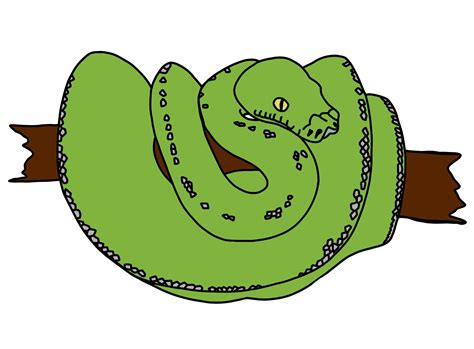 Hand Drawn Green Tree Python Reptile Python Snake SVG File Etsy