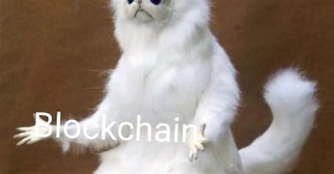 Blockchain Album On Imgur